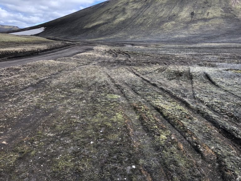 Suspected French Tourists Investigated Over Off-Road Driving Damage in ...