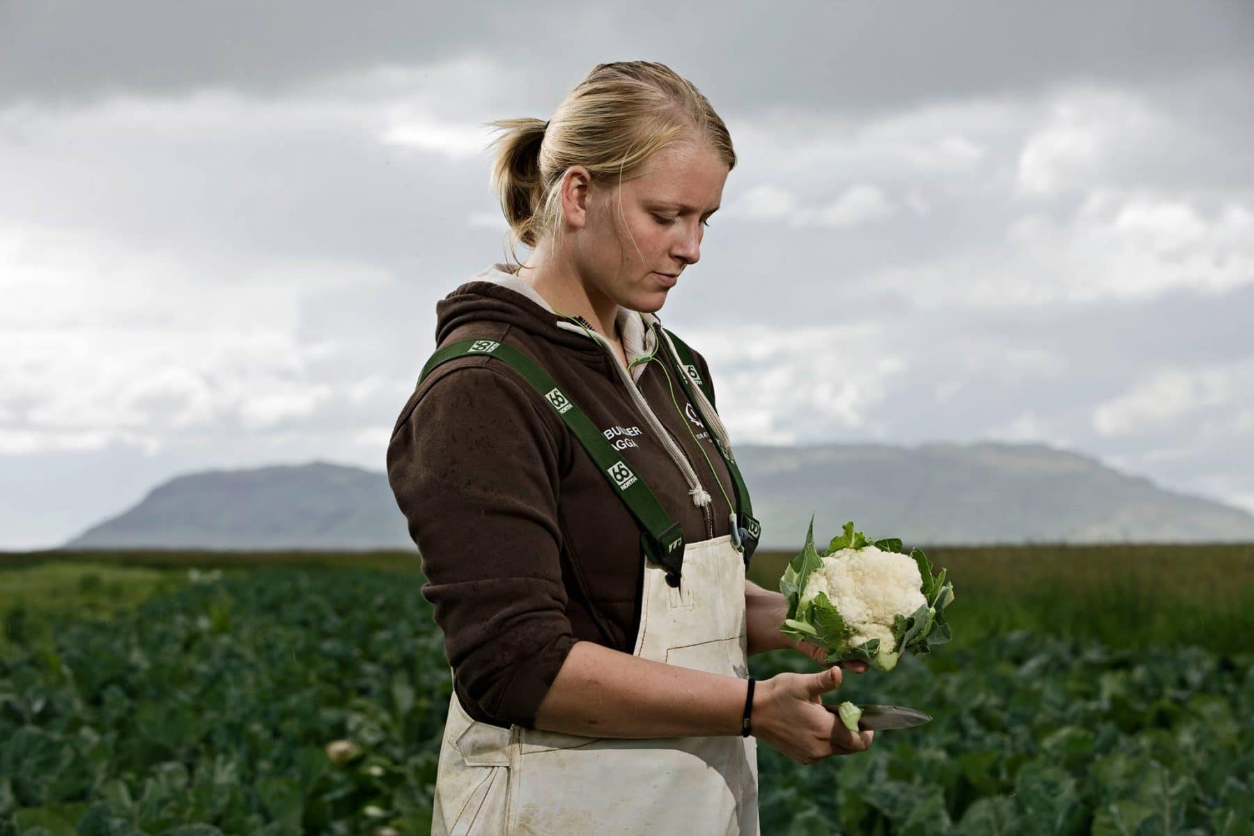 Lower Electricity Prices Bring Relief for Horticultural Farmers