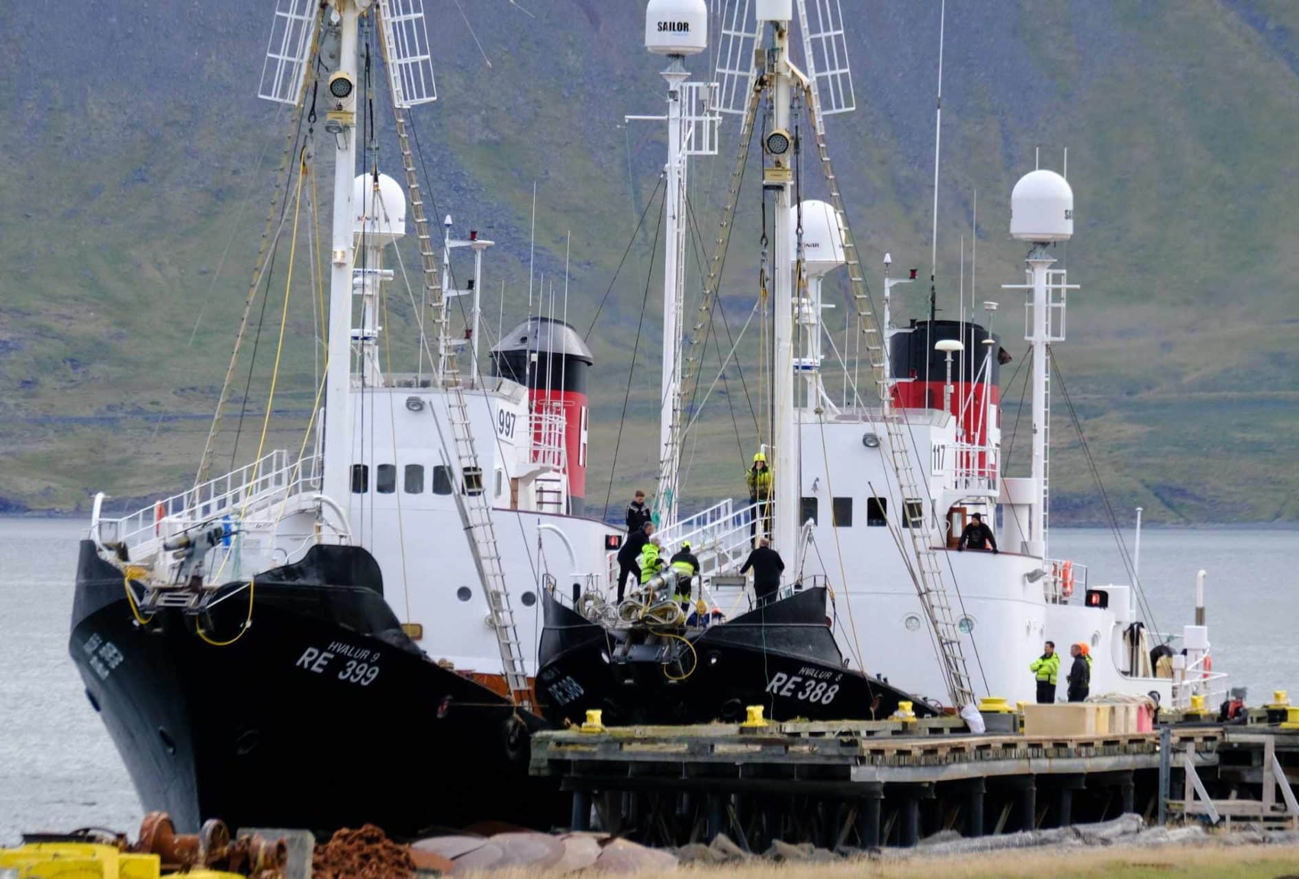 Iceland Review | Iceland’s News, Culture & Travel Magazine
