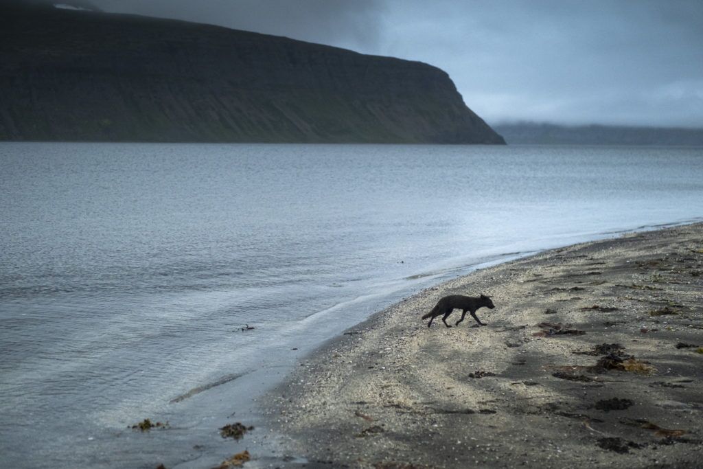 Norse Mythology - The Gods of the Ancient Icelanders