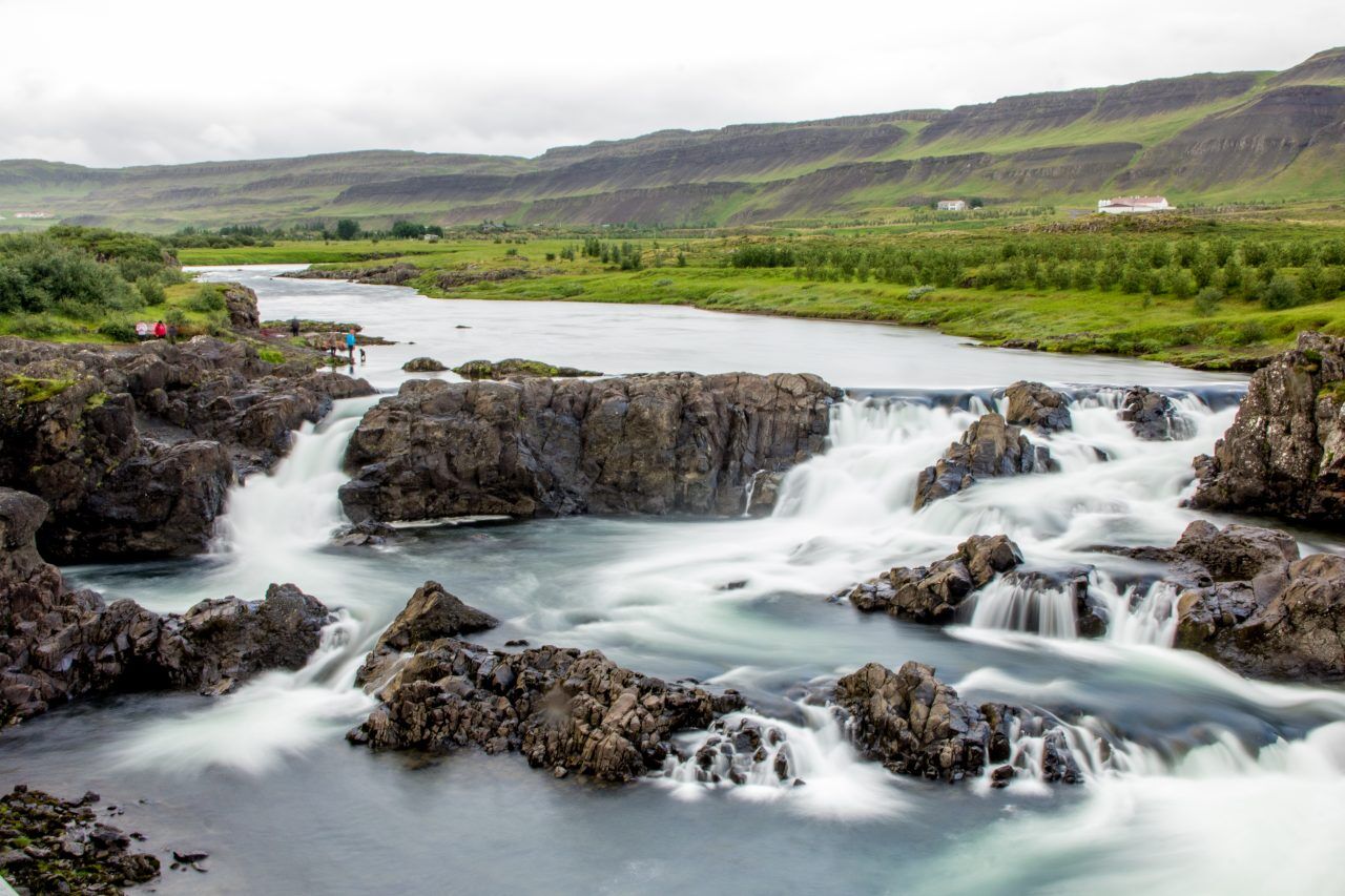 Iceland Marks Ten Years of Biting Midges