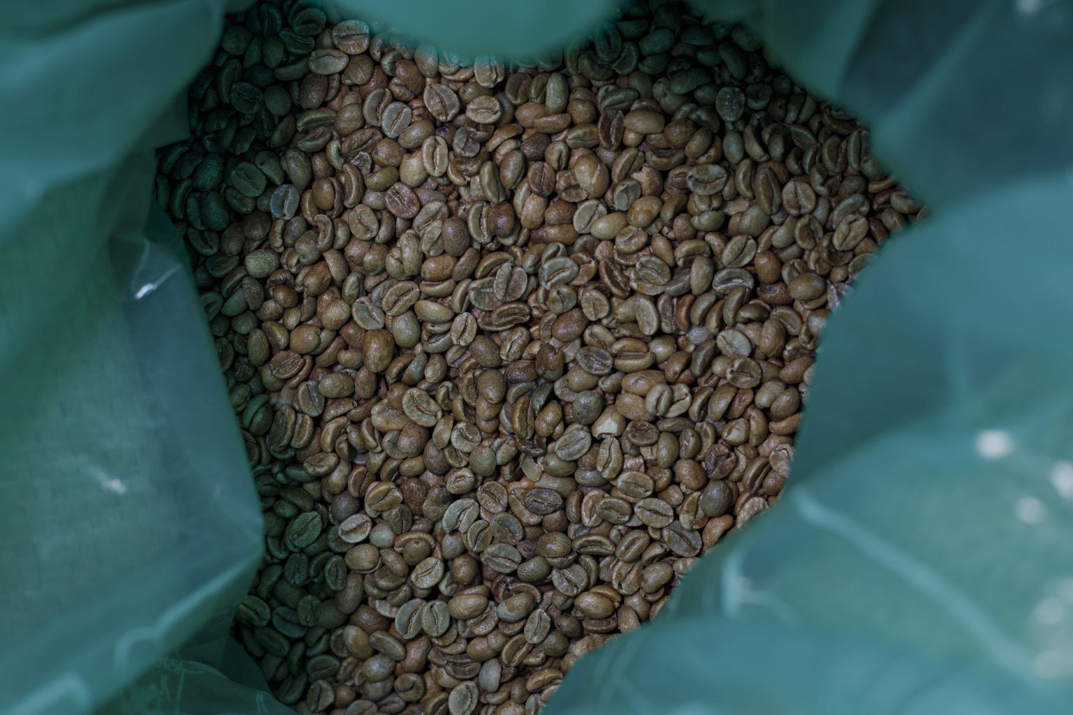 Goodbye to the Grind: How Kaffi Valeria Serves History and Happiness by ...